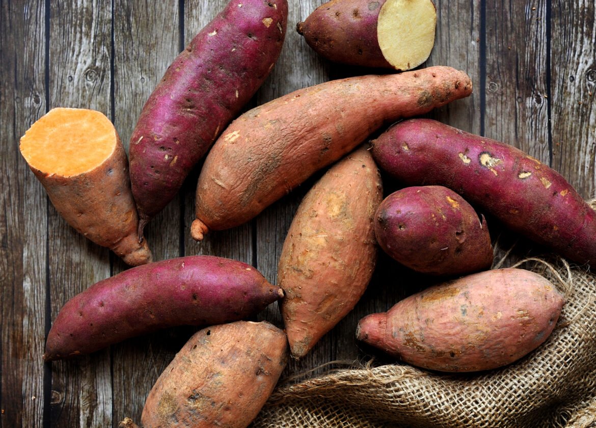 Como cozinhar batata doce e aproveitar seus nutrientes em uma ...